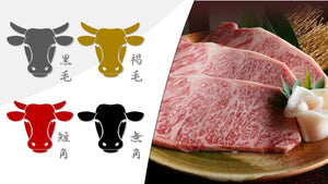 What Is Wagyu? A Beginner's Guide to Japanese Beef ｜Tsukushi